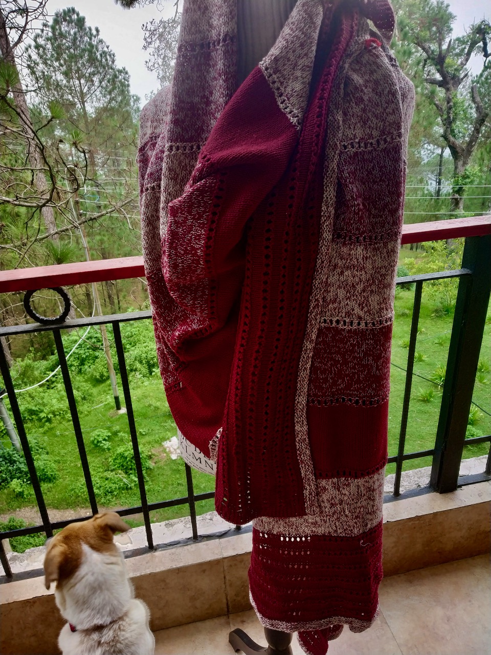 Knitting with Cotton | Needles to say more